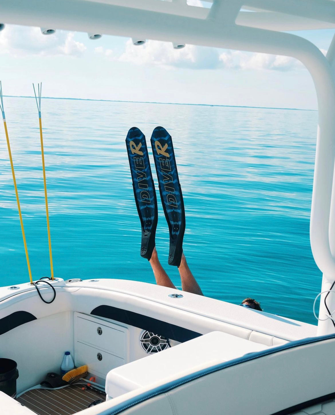 DiveR Fins