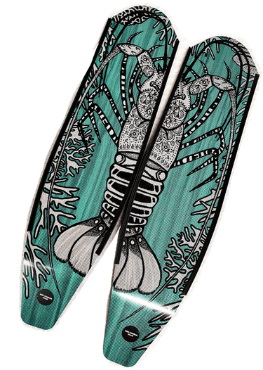 Original Carbon Fibre – DiveR Fins